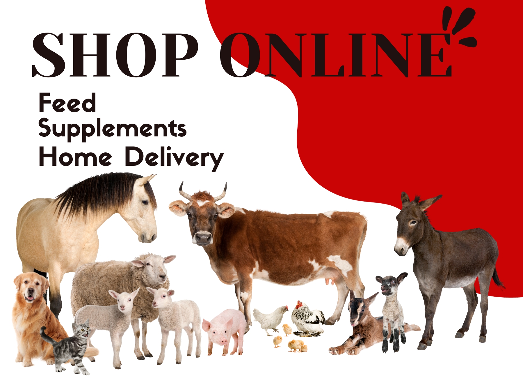 Graham Hay Market- Bringing Quality To Your Door Step